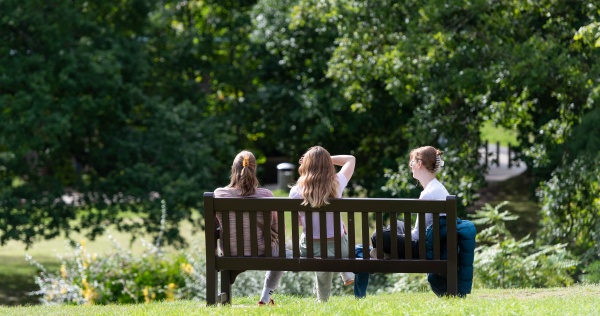 How to handle alleged student misconduct: case studies